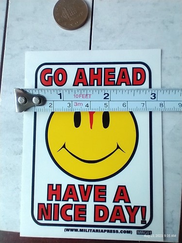 Small 4X3 inch+ Decal Sticker GO AHEAD HAVE A NICE DAY Window decal ...