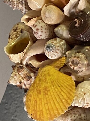 Large Round Sea Shell Frame Wall Mirror Folk Art Handmade Coastal Beach ...