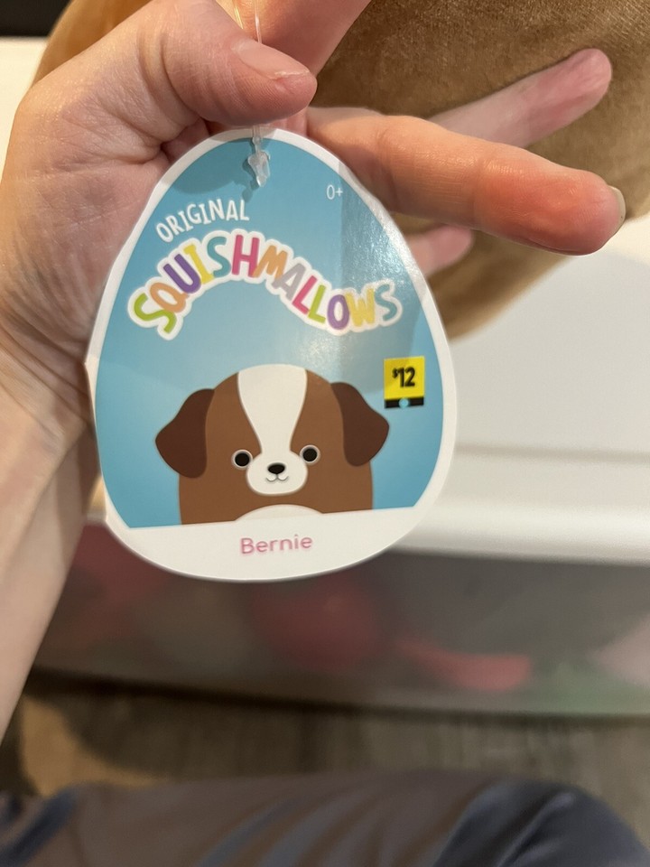 Squishmallows Bernie 12” Brown Saint St. Bernard Dog Doggie Puppy BNWT ...