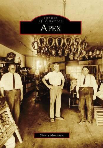 Sherry Monahan Apex (Poche) Images of America 9780738566382 | eBay