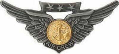 NAVY 2" AIRCREW AIR CREW COMBAT WING MILITARY PIN BADGE | eBay