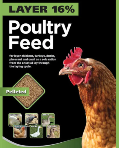 Chicken Feed 16% Layer Feed Mini Pellets For Laying Hens Rooster Made ...