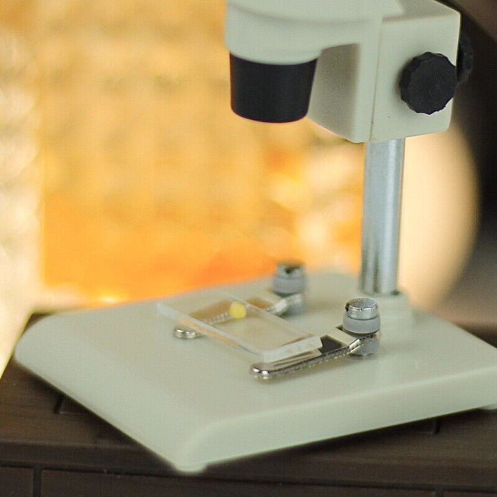 Microscope Simulation Micro Model Mother Garden Miniature Ornaments ...