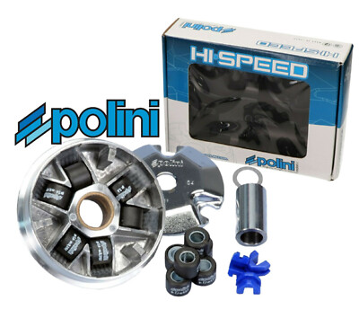 Polini Variator Kit for Genuine Buddy 50 Roughhouse 50 PGO 50cc 2 ...
