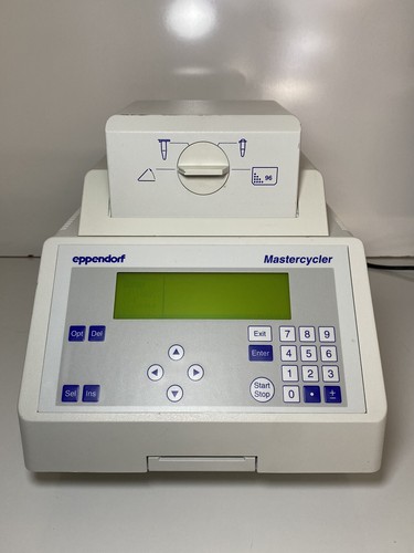 Eppendorf 5333 Mastercycler Gradient Personal DNA Thermal Cycler | eBay