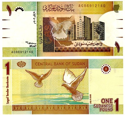 2006 Africa Paper Money One Pound Uncirculated Note | eBay