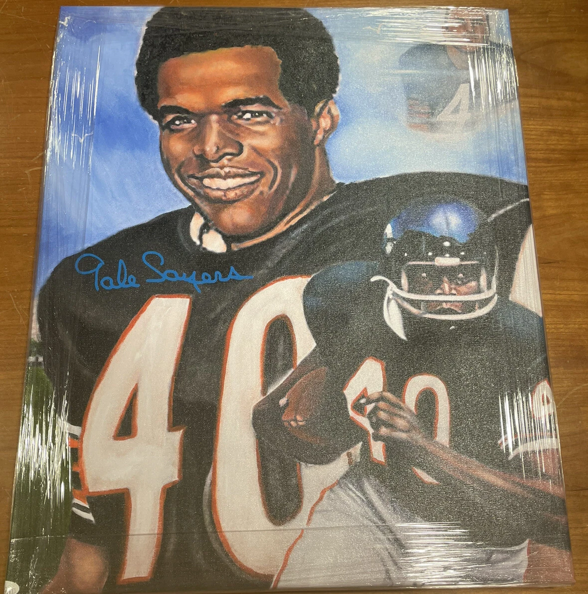 Brian Piccolo And Gale Sayers