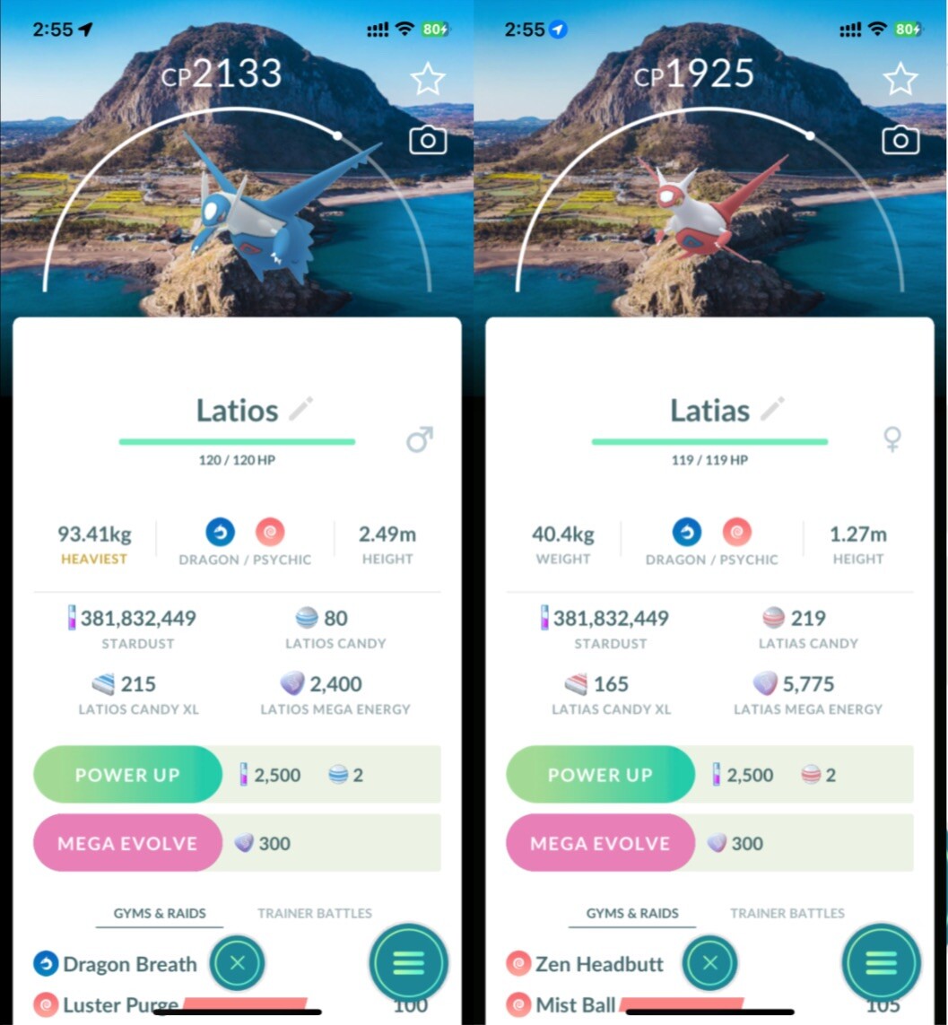 Jeju Island Location Card Background Latios or Latias - Pokemon Go Rare ...