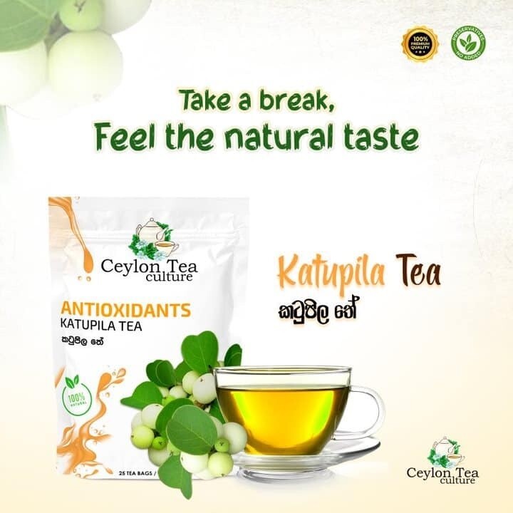 Ceylon Dried Katupila (Securinega leucopyrus) Pure Herbal Tea Natural ...