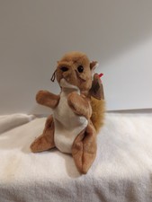 Nutty the Squirrel - Beanie Babies - Beaniepedia