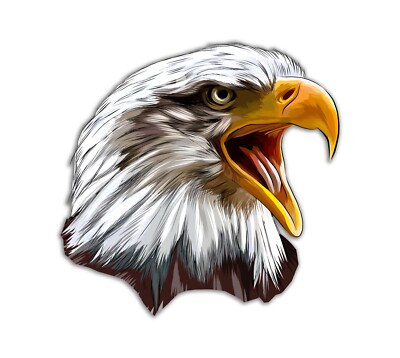American Eagle Head Sticker Decal Bald Flag Real Car Truck USA Bumper ...