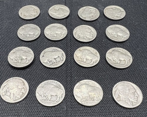 🔥Lot of 16 US Buffalo Nickels 1910s-1930s Dateless Vintage Coin-FREE ...