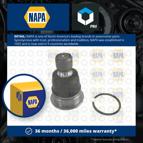 Ball Joint NST0088 NAPA Suspension 40160JG00A 54500BR30A 54500JD000 ...