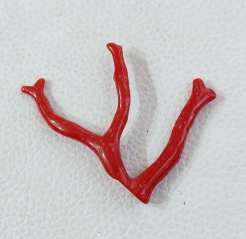 Natural Coral Branch Gemstone Red Coral Loose Rough Italian Coral ...