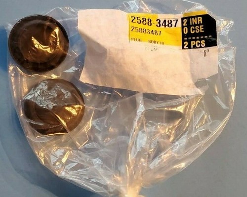 GM #25883487 NOS GENUINE GM OEM Plug *LOT OF 2* BL12 | eBay