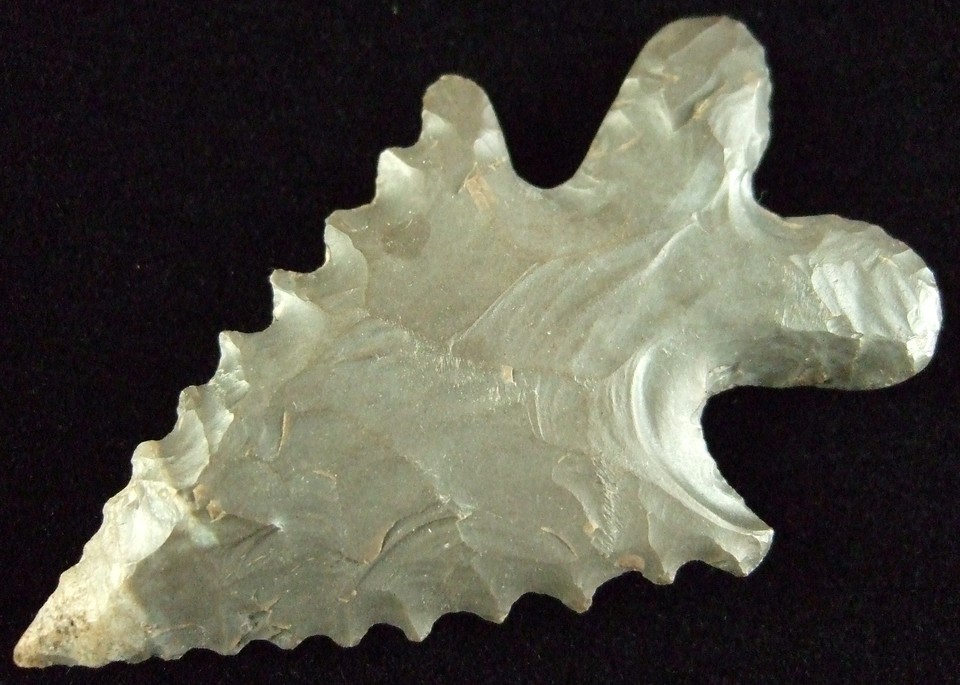 Exceptionally Fine Tennessee Notched Base Pine Tree Point with COA ...