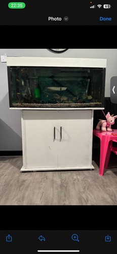 White fish tank full set up ready to go | eBay UK