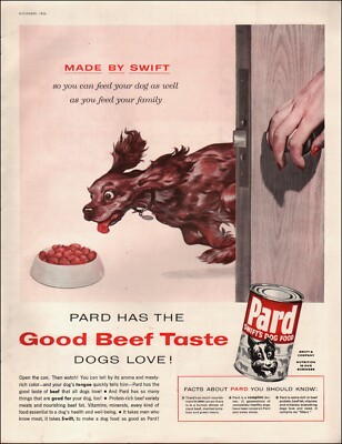 1954 Vintage Pard Wift's Dog Food Swift & Comp. Art Bowl Collar Door 09 ...