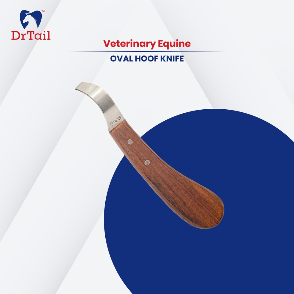 Hoof Knife Loop Oval Farrier Equine Horse Stainless Steel Blade Wooden ...