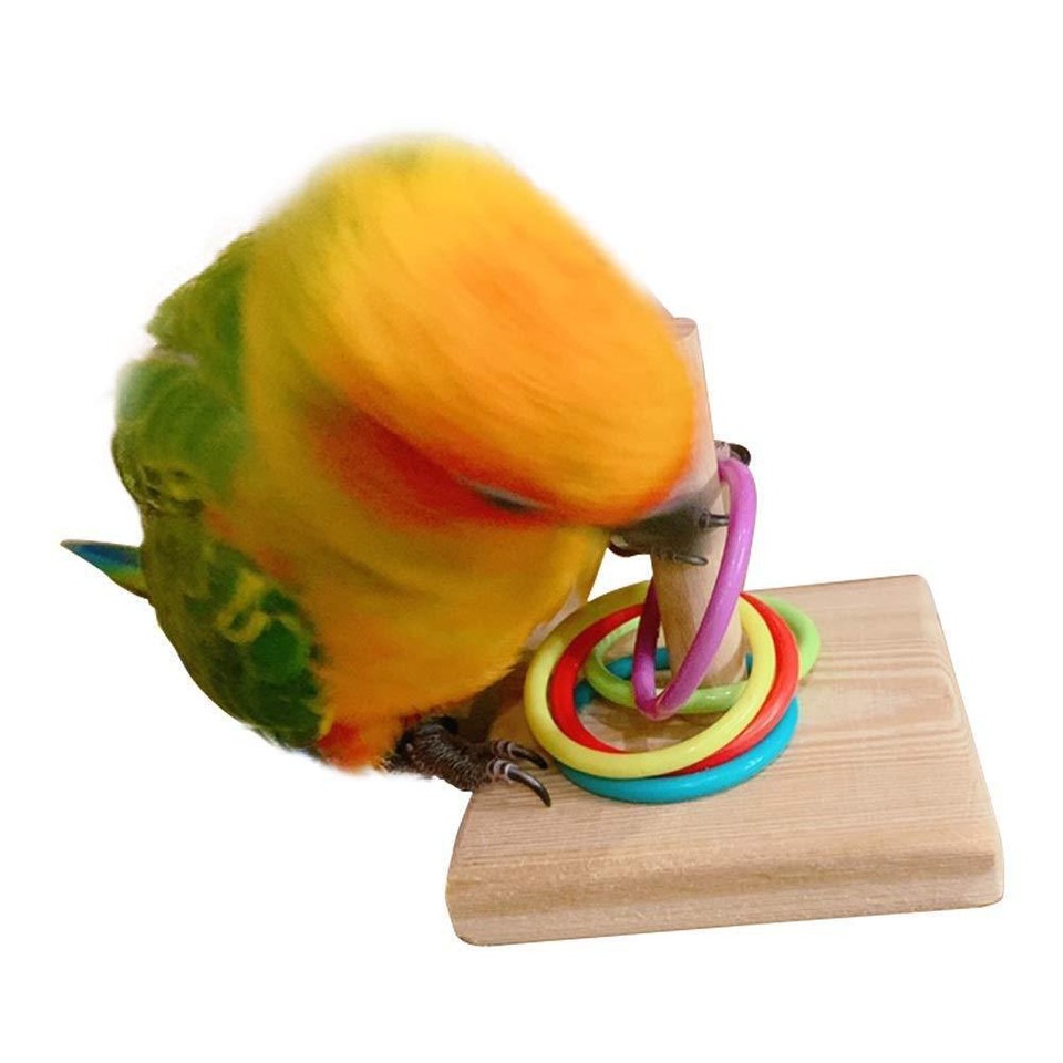Wooden Plastic Ferrule Parrot Bird Educational Toy | eBay