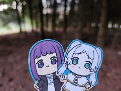 Anime Frieren + Fern stickers | eBay