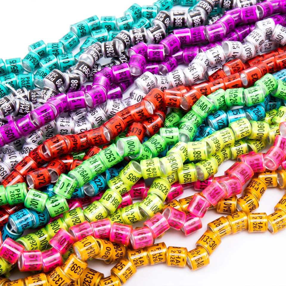 2026 Multicolor 60pcs*8mm Bird Foot Ring For Racing Pigeon Rings Leg ...