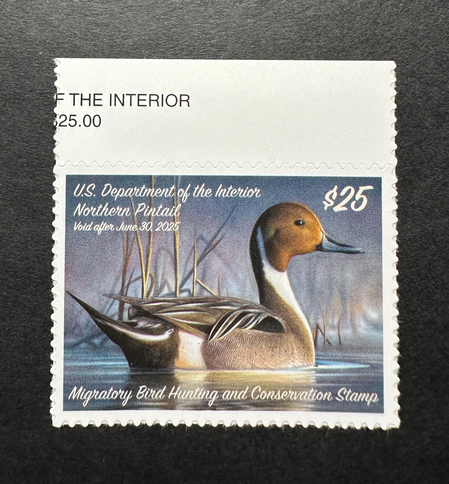 WTDstamps - #RW91 2024 - US Federal Duck Stamp **CHUCK BLACK** Mint OG ...
