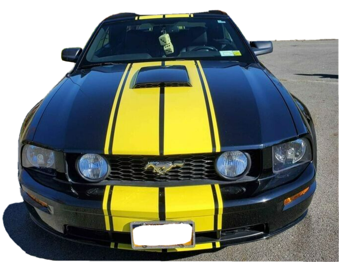 Ford Mustang GT Saleen Racing Rally Stripes Stripe Graphics Decal ...
