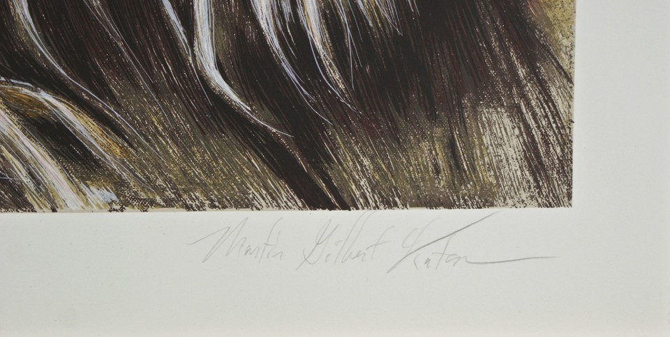 "African Lion" by Martin Gilbert Katon Signed Trial Proof TP Lithograph ...