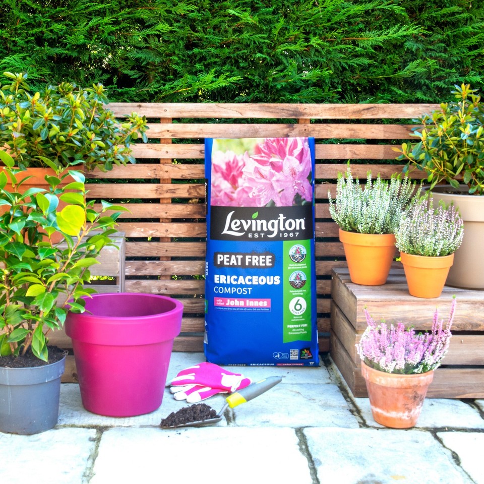 WESTLAND ERICACEOUS COMPOST 10L 25L 50L AZALEAS CAMELLIA PLANTING ...