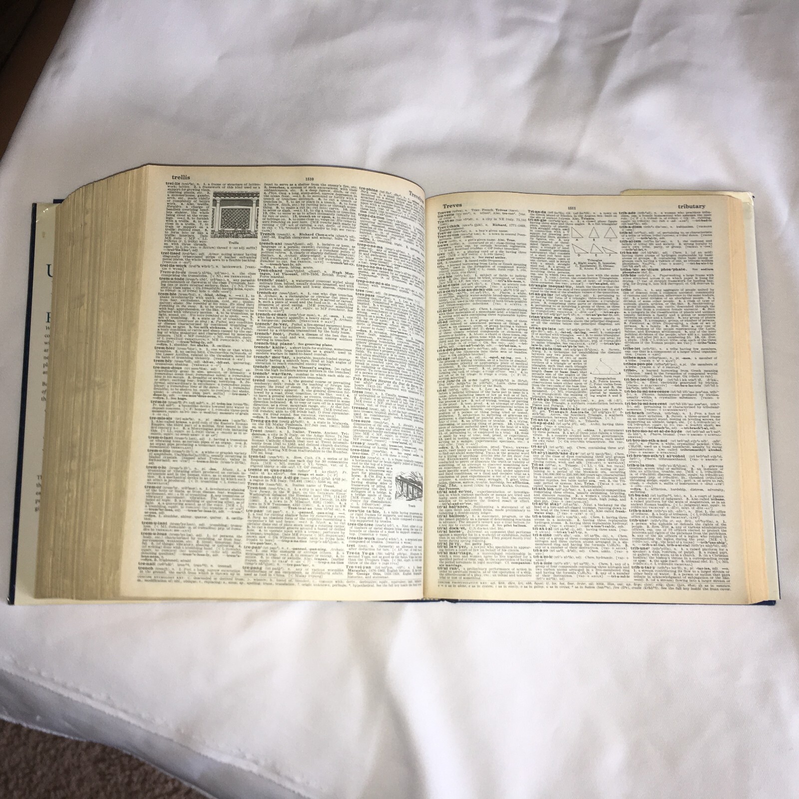 Webster's New Universal Unabridged Dictionary Barnes and Noble 1994 ...