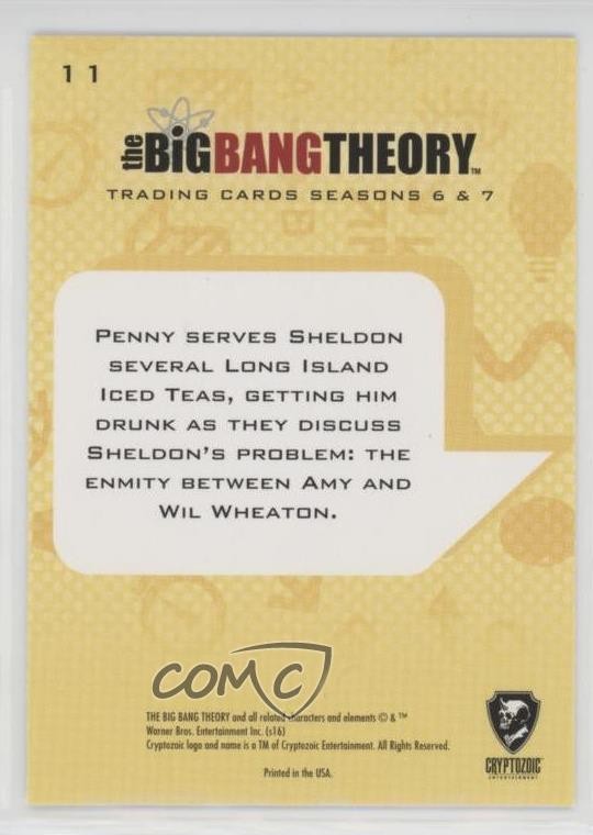 2016 The Big Bang Theory Seasons 6 & 7 Sheldon Cooper Penny Tea Party ...