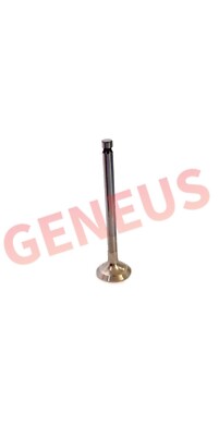 Intake valve Mitsubishi L3E L2E L3A L2A L3C L2C | eBay