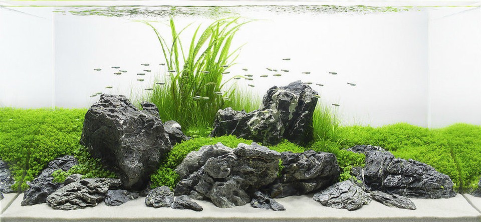 Aquarium Stone Seiryu Rock Natural Fish Tank Aquascape Decoration GREY ...