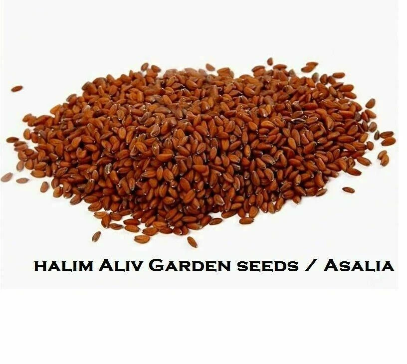 What Is Garden Cress Seeds In Hindi | Fasci Garden
