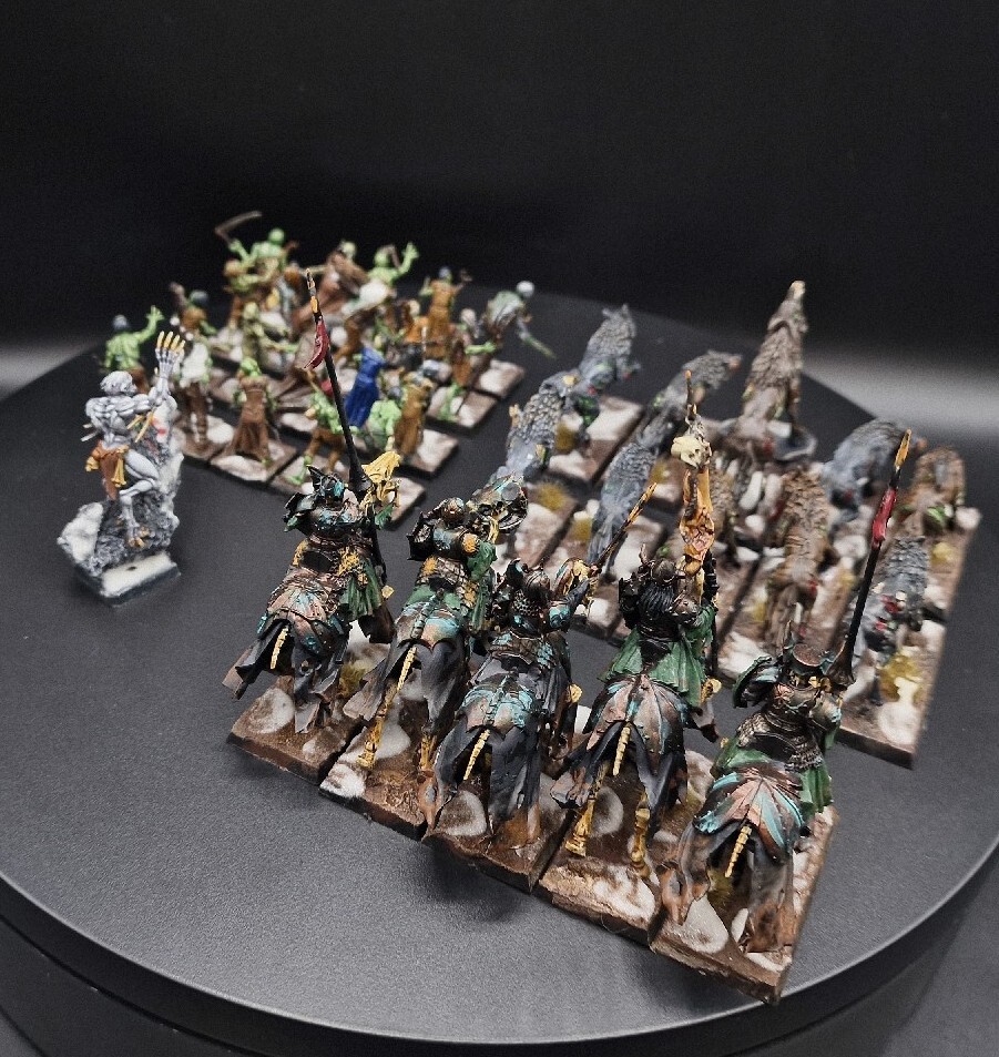 Pro Painted Warhammer AOS Soulblight Gravelords Army Fantasy Old World ...