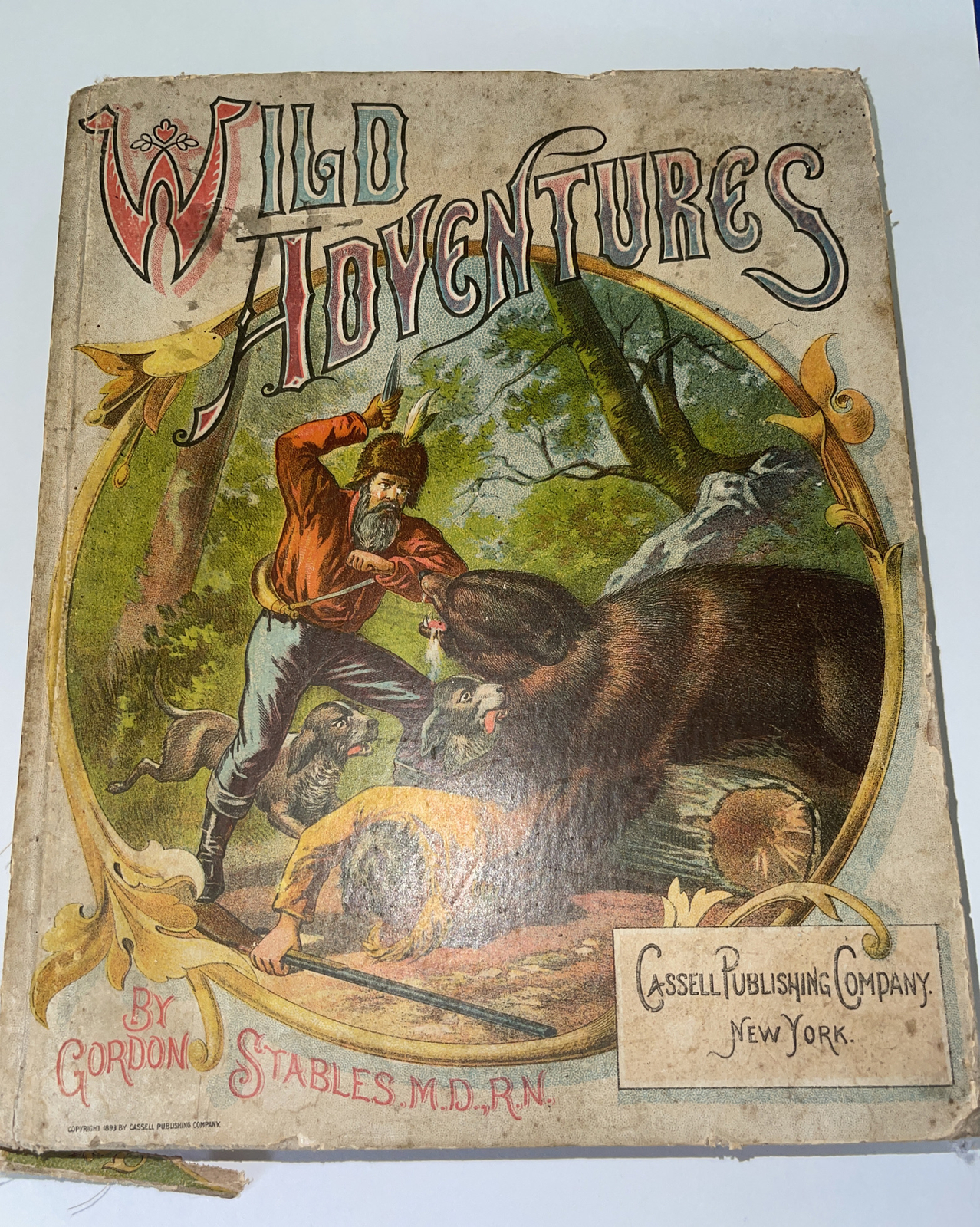Vtg WILD ADVENTURES IN WILD PLACES ~ Gordon Stables, M.D., R.N. ~ 1888 ...