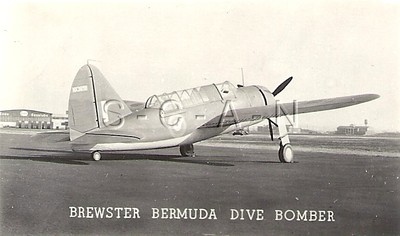 WWII US Navy RP- British- UK Airplane- Brewster Bermuda Dive Bomber ...