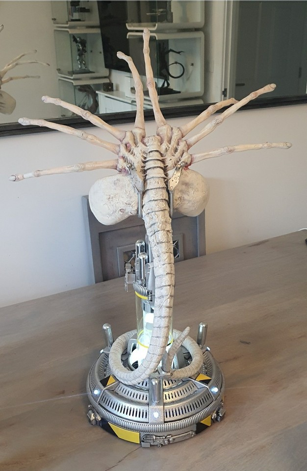 Alien facehugger replica with lab base Alien Earth | eBay UK