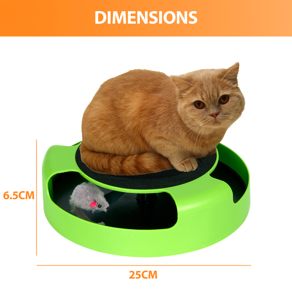 CAT KITTEN CATCH THE MOUSE PLUSH MOVING TOY SCRATCHING CLAW CARE MAT ...