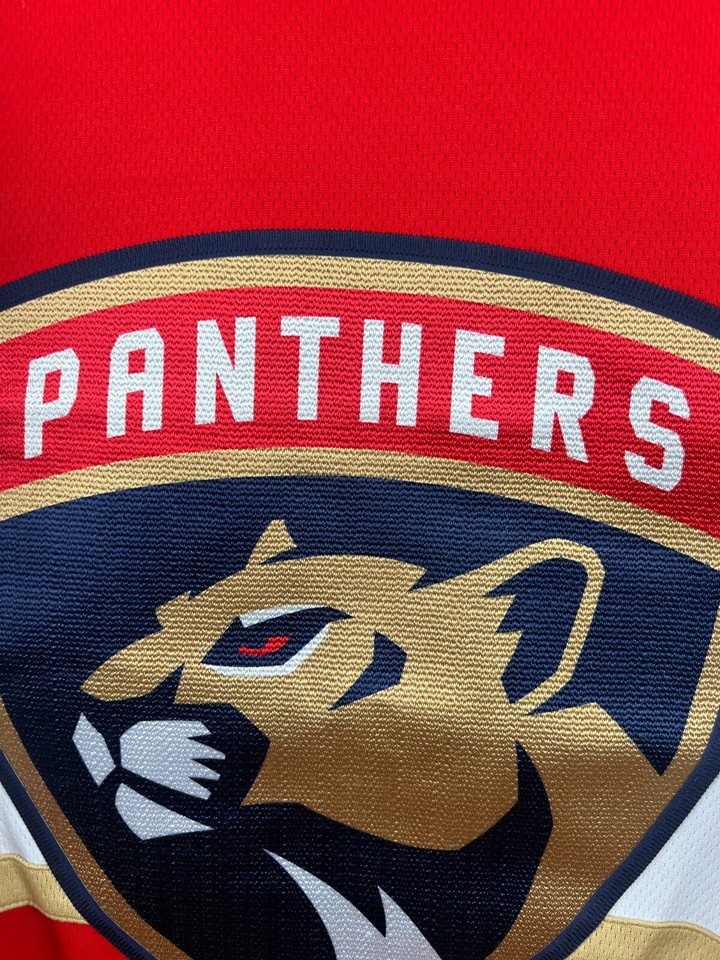 Florida Panthers Forsling #42 Fanatics Breakaway NHL Jersey Men’s XL ...