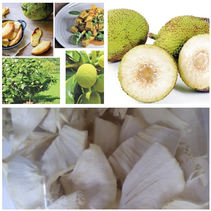 05 kg Dehydrated dried Breadfruit Artocarpus altilis Pure slices Organic | eBay