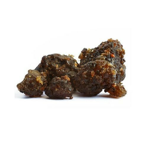 Guggul (Indian Bedellium)Tree Whole,Gugul,Guggul,Mukul Myrrh Tree Free ...