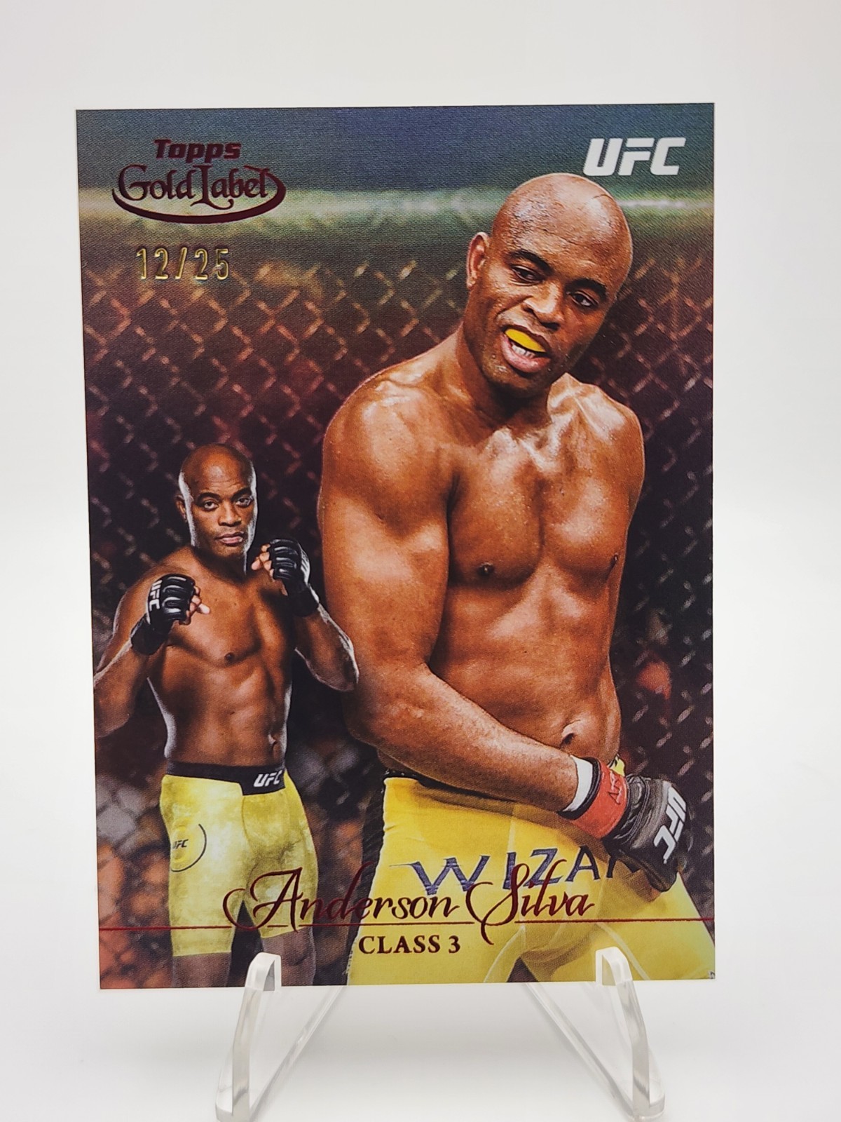 Anderson Silva 2024 Topps Gold Label UFC #80 Class 3 Price Guide ...