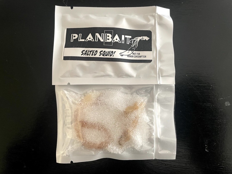 Plan Bait Salted Squid Fishing Bait For Ocean, Surf, Lake, Pond | eBay