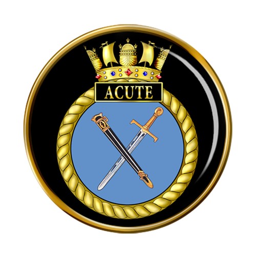 HMS Acute, Royal Navy Pin Badge | eBay UK