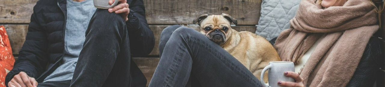 SPPARX INC | eBay Stores