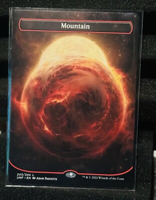 Mountain 243/244 Non-Foil NM - Borderless Land Unfinity - Magic The ...