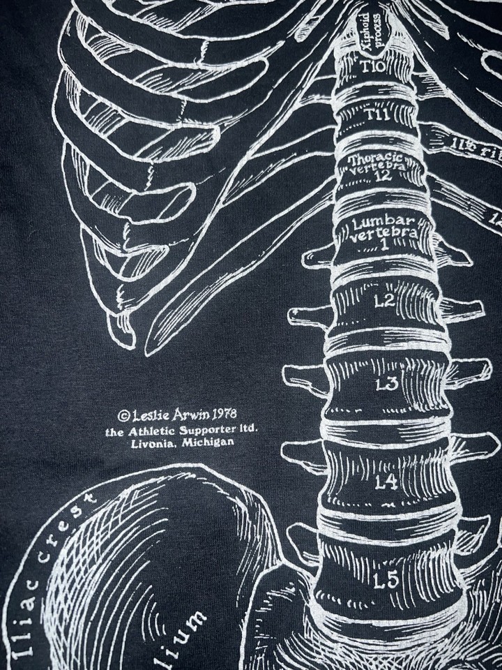 Vintage Leslie Arwin 1978 Shirt Anatomy Skelton Art Original | eBay
