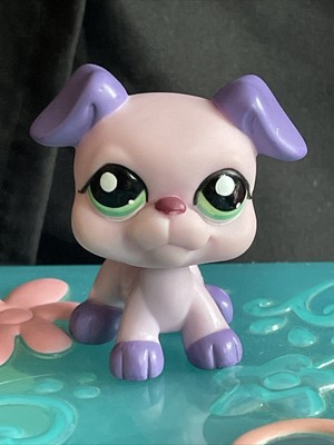 Littlest Pet Shop LPS purple boxer dog green eyes 1500 | eBay